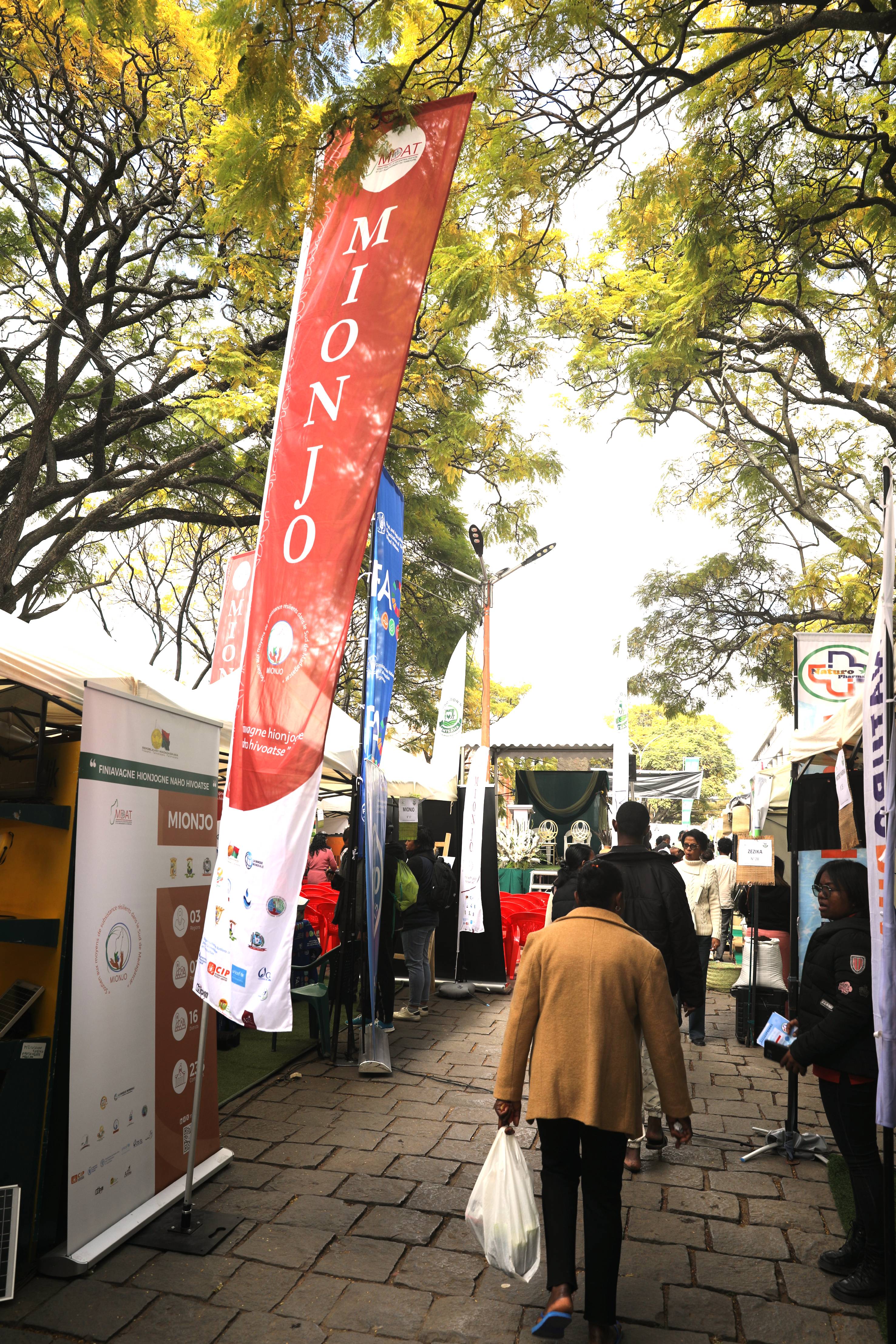 Mionjo